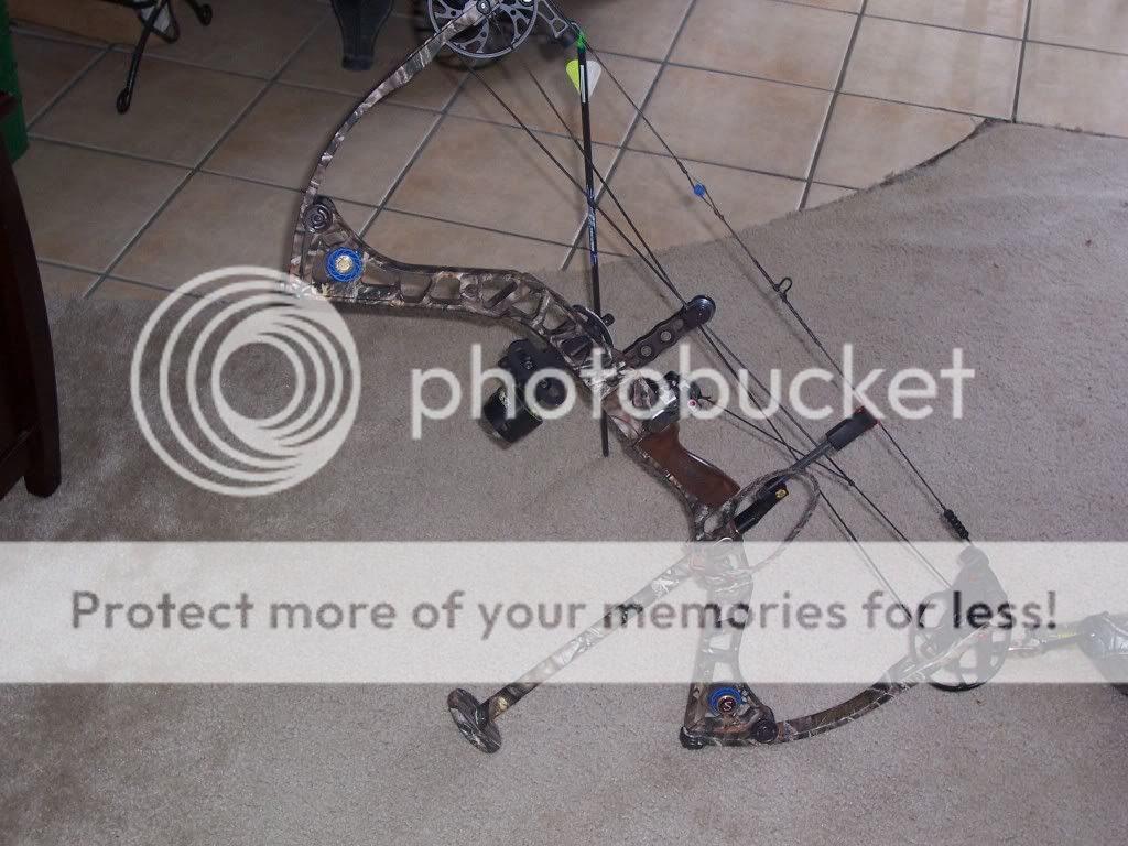 Pics of your 3D rigs! | Page 4 | Archery Talk Forum