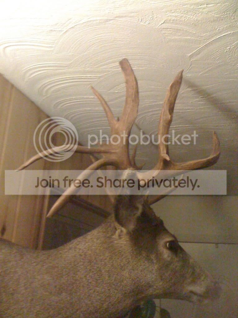 BIG BUCK thread must be shot in bc - Page 38